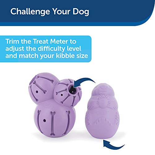 PetSafe Busy Buddy Interactive Dog Toy and Treat Dispenser, Calming Chamomile Scent - Great for Fast Eating, Bored or Anxious Dogs - Pack of 2