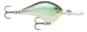 rapala ike’s custom ink crankbait (blue back herring, dt06 – 2″)