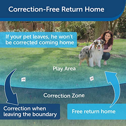 PetSafe Wireless Fence Pet Containment System with Extra Battery Pack, Covers up to 1/2 Acre, for Dogs over 8 lb., Waterproof Receiver with Tone / Static Correction