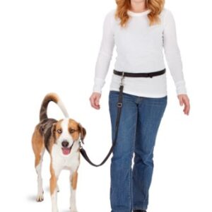 PetSafe Pet Hands Free Leash, Black