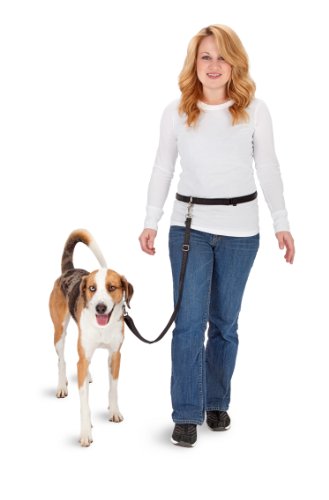 PetSafe Pet Hands Free Leash, Black