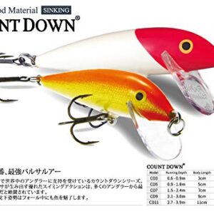 Rapala Countdown 3/16 Oz Fishing lure (Gold, Size- 2)