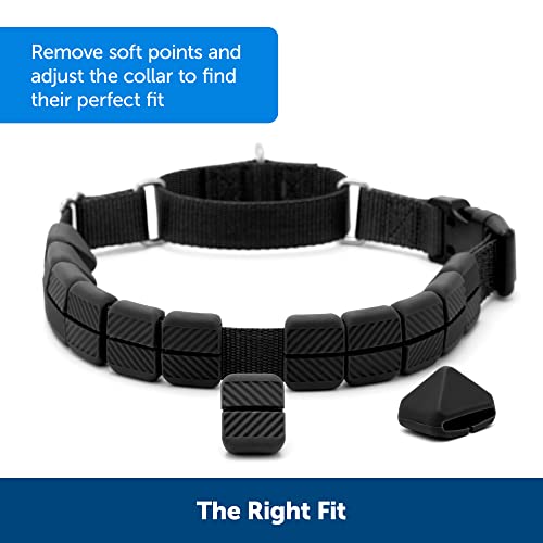 PetSafe Soft Point Training Collar - Helps Stop Pulling - Safer Than Prong or Choke Collars - Teaches Better Leash Manners - No Pull Training Collar with Rubber Points for Dogs - Large, Black