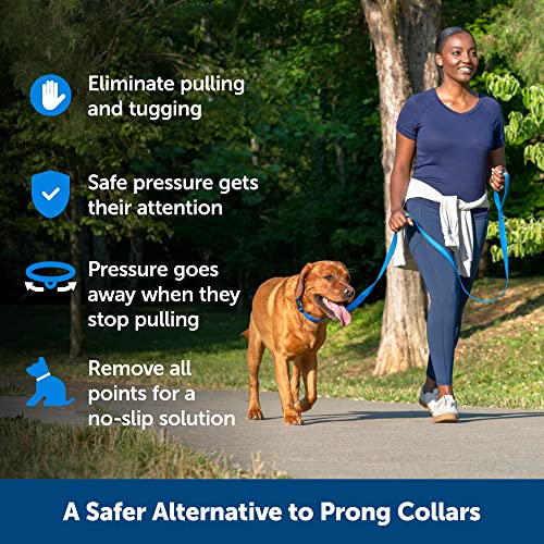 PetSafe Soft Point Training Collar - Helps Stop Pulling - Safer Than Prong or Choke Collars - Teaches Better Leash Manners - No Pull Training Collar with Rubber Points for Dogs - Large, Black