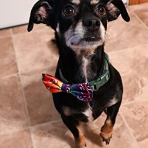 H&K Bow Tie for Pets | Bone-Dana Multi (Small) | Velcro Bow Tie Collar Attachment | Fun Bow Ties for Dogs & Cats | Cute, Comfortable, and Durable | Huxley & Kent Bow Tie