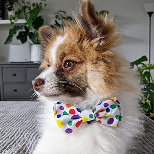 H&K Bow Tie for Pets | Happy Barkday (Large) | Birthday Velcro Bow Tie Collar Attachment | Fun Bow Ties for Dogs & Cats | Cute, Comfortable, and Durable | Huxley & Kent Bow Tie