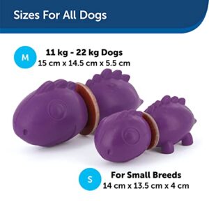 PetSafe Busy Buddy Dinosaur S, Durable Dog Chew Toy, Dog Toy with Treat Rings, Small Dogs