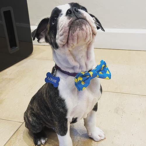 H&K Bow Tie for Pets | Lucky Ducky (Extra-Large) | Velcro Bow Tie Collar Attachment | Fun Bow Ties for Dogs & Cats | Cute, Comfortable, and Durable | Huxley & Kent Bow Tie