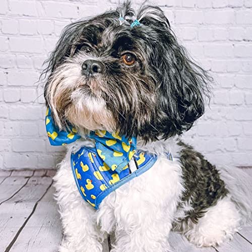 H&K Bow Tie for Pets | Lucky Ducky (Extra-Large) | Velcro Bow Tie Collar Attachment | Fun Bow Ties for Dogs & Cats | Cute, Comfortable, and Durable | Huxley & Kent Bow Tie