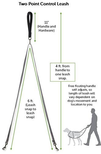 PetSafe Two Point Control Leash, Padded and Reflective Nylon Leash Converts to Single Leash, Works with 3in1 Harnesses, 3/4 in. Wide Leash