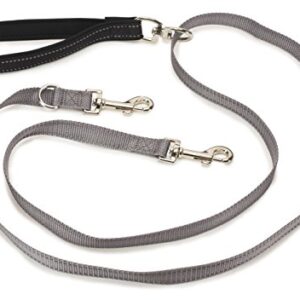 PetSafe Two Point Control Leash, Padded and Reflective Nylon Leash Converts to Single Leash, Works with 3in1 Harnesses, 3/4 in. Wide Leash