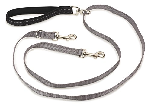 PetSafe Two Point Control Leash, Padded and Reflective Nylon Leash Converts to Single Leash, Works with 3in1 Harnesses, 3/4 in. Wide Leash