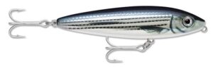 rapala saltwater skitter walk 11 mullet