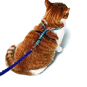 PetSafe Come With Me Kitty Glitter Harness and Bungee Cat Leash, Large