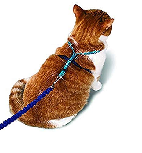 PetSafe Come With Me Kitty Glitter Harness and Bungee Cat Leash, Large