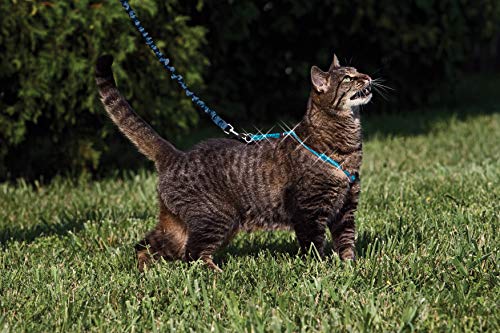 PetSafe Come With Me Kitty Glitter Harness and Bungee Cat Leash, Large