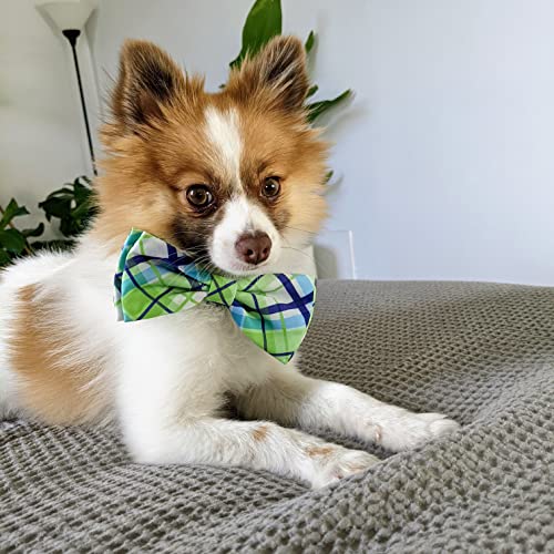 Huxley & Kent Pet Bow Tie | Lime Madras (Extra-Large) | Easter Pet Bow Tie Collar Attachment | Fun Bow Ties for Dogs & Cats | Cute, Comfortable, and Durable