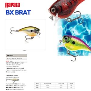 Balsa Xtreme Brat 03 Silver