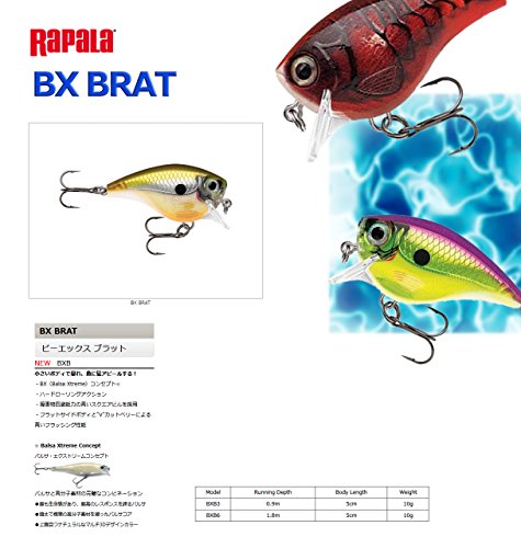 Balsa Xtreme Brat 03 Silver