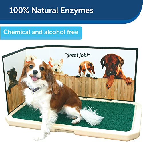 PetSafe Piddle Place Bio+ Enzyme Turf Treatment - Pet Odor Eliminator, Dog Deodorizing Spray and Puppy Training Spray - Lemongrass and Eucalyptus Scent - 100% Natural with No Chemicals or Alcohol