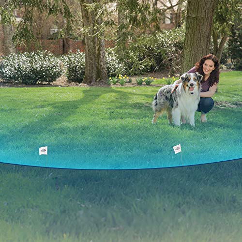 PetSafe Stay & Play Wireless Fence with Replaceable Battery Collar for Dogs, 5.7 LB