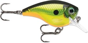 rapala balsa xtreme brat hard bait lure, freshwater, size 03, 2″ length, 3′ depth, 3/8 oz, homer’s buddy, package of 1 (bxb03hob)