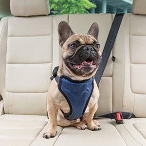 PetSafe Happy Ride Dog Safety Harness for Cars - Dog Car Harness Includes Seat Belt Tether - Keeps Pets Restrained - Breathable Mesh, Adjustable Straps - Dog Travel Accessories for Car - Medium