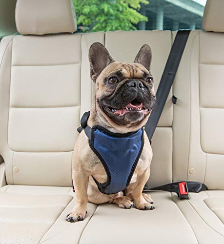 PetSafe Happy Ride Dog Safety Harness for Cars - Dog Car Harness Includes Seat Belt Tether - Keeps Pets Restrained - Breathable Mesh, Adjustable Straps - Dog Travel Accessories for Car - Medium