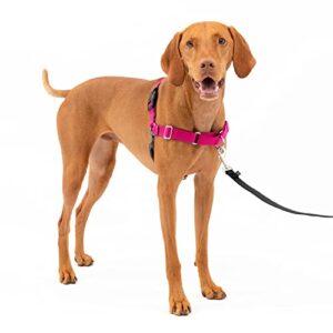 PetSafe Easy Walk Dog Harness, No Pull Dog Harness, Raspberry/Gray, Medium & Nylon Dog Leash - Strong, Durable, Traditional Style Leash with Easy to Use Bolt Snap - 3/4" x 6', Raspberry Pink