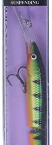 Rapala Jointed Deep Husky Jerk 12 Perch