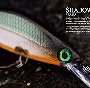 Rapala Shadow Rap Shad Deep 09 SDRSD09MLC: Shadow Rap Shad Deep 09 Molten Copper, One Size