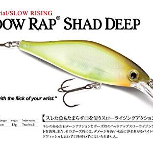 Rapala Shadow Rap Shad Deep 09 SDRSD09MLC: Shadow Rap Shad Deep 09 Molten Copper, One Size