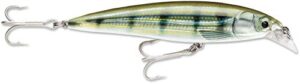 x-rap saltwater 12 pinfish