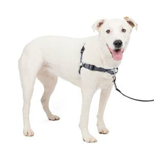 petsafe ewh-d-hc-m/l-stl deluxe easy walk harness, medium/large, steel/black