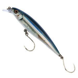 X-Rap Long Cast 14 Anchovy