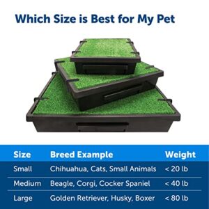 PetSafe Pet Loo Portable Dog Potty, Alternative to Puppy Pads, Large