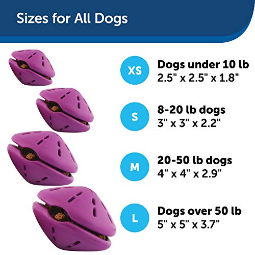 PetSafe Busy Buddy Twist 'n Treat Dispensing Dog Toy - Medium,Purple,Large Breeds