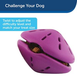 PetSafe Busy Buddy Twist 'n Treat Dispensing Dog Toy - Medium,Purple,Large Breeds