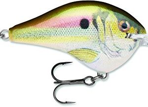 Rapala Dives-to 06 Live River Shad Lure Multi