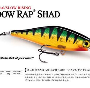 Shadow Rap Shad 09 Live Perch