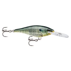 rapala shad rap 07 live bluegill lure, multi, one size (sr07bgl)