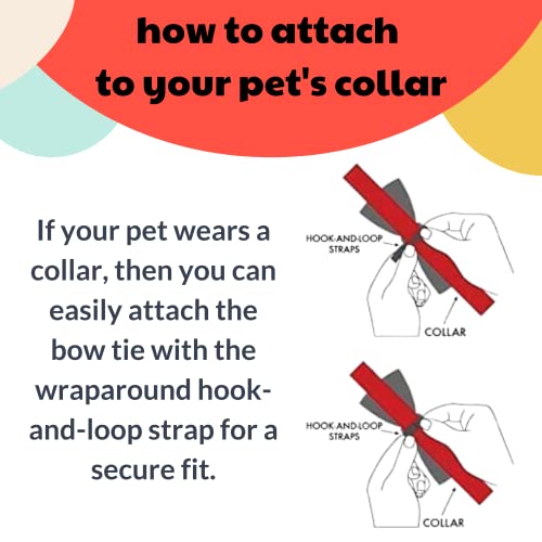 H&K Bow Tie for Pets | Cocktail Party (Large) | Velcro Bow Tie Collar Attachment | Fun Bow Ties for Dogs & Cats | Cute, Comfortable, and Durable | Huxley & Kent Bow Tie