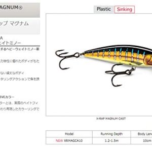 Rapala X-Rap Magnum Cast Unisex Adult Lure HD Silver Blue Mackerel, 10