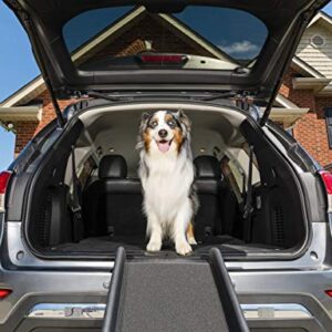 PetSafe Happy Ride Folding Dog Ramp for Cars, Trucks, & SUVs - 62 Inch Portable Pet Ramp for Large Dogs with Siderails, Non-Slip - Weighs Only 10 lb, Supports up to 150 lb, Easy Storage, Folds in Half