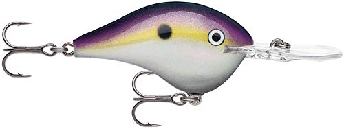 Dives-to 10 Big Shad