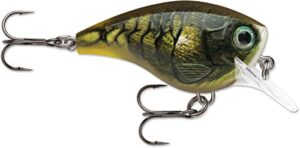 rapala balsa xtreme brat hard bait lure, freshwater, size 03, 2″ length, 3′ depth, 3/8 oz, mossy, package of 1 (bxb03msy)