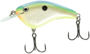 ott’s garage slim 06 citrus shad