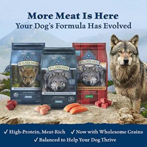 Blue Buffalo Wilderness Rocky Mountain Recipe High Protein, Natural Senior Dry Dog Food, Red Meat with Grain 28 lb Bag