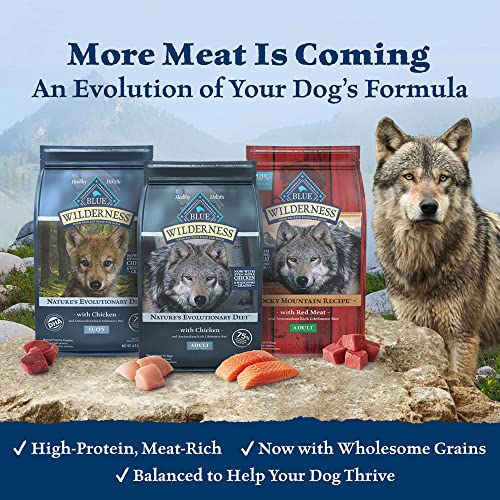 Blue Buffalo Wilderness Rocky Mountain Recipe High Protein, Natural Adult Large Breed Dry Dog Food, Bison 22-lb