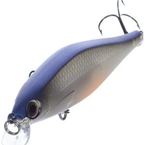 Rapala SDRS09 Shadow Rap Shad Lure (3.5-Inch, 0.3oz, Elite Blue)